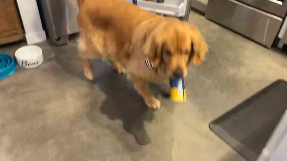 Ellie learned to grab me a beer — here's how