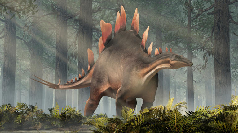 What Are The Back Plates On A Stegosaurus Called?