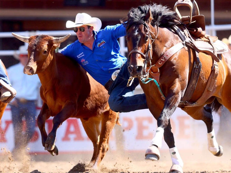 Calgary Stampede Rodeo daily results and money: Plus, the ultimate ...