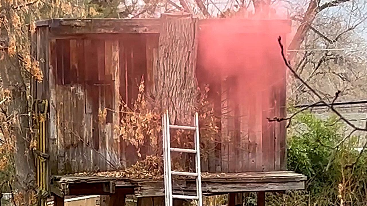 Attempt to scare raccoons out of treehouse goes horribly wrong