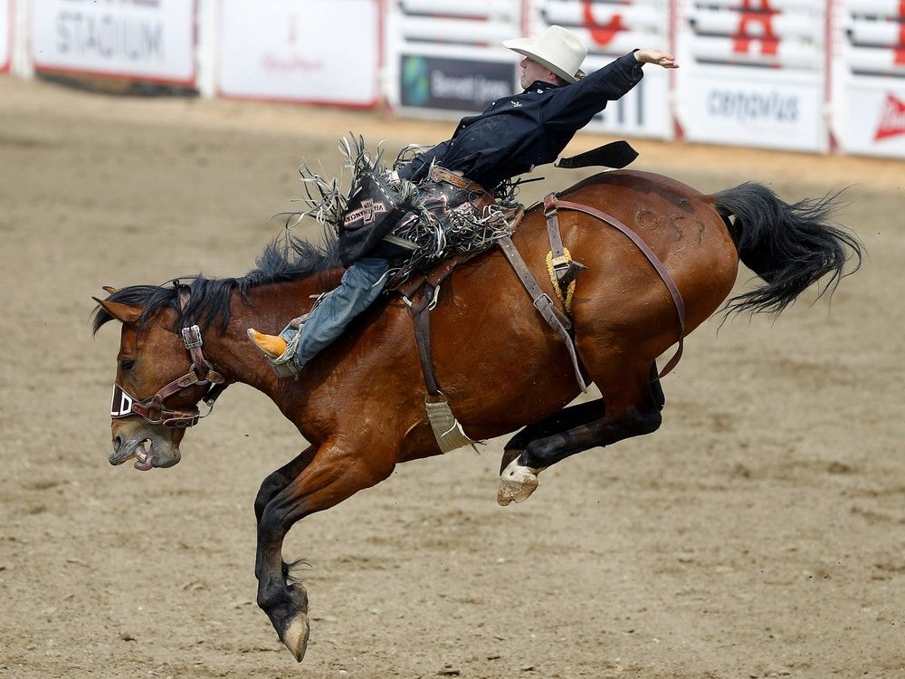 Calgary Stampede Rodeo daily results and money: Plus, the ultimate ...