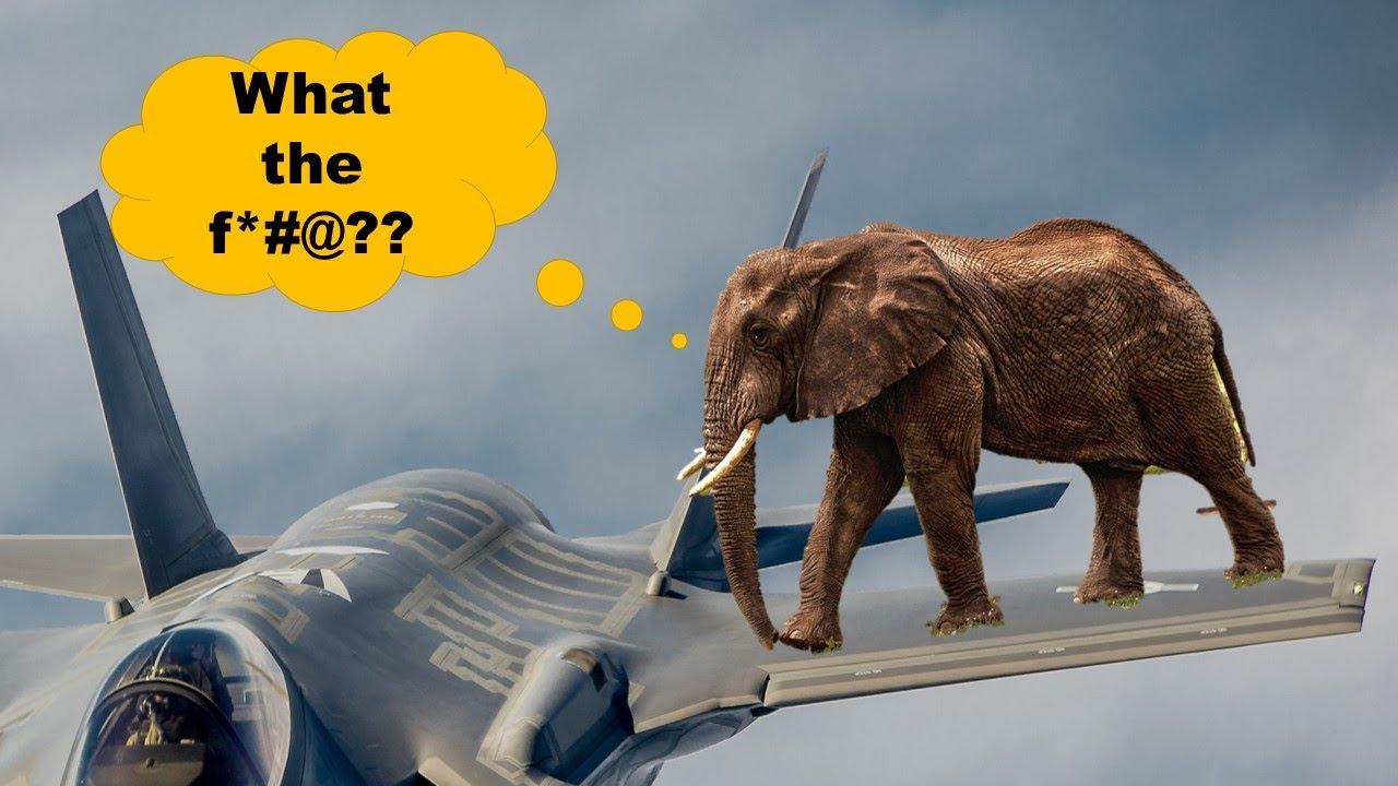 Why Fighter Jet Wings Look So Weird Up Close