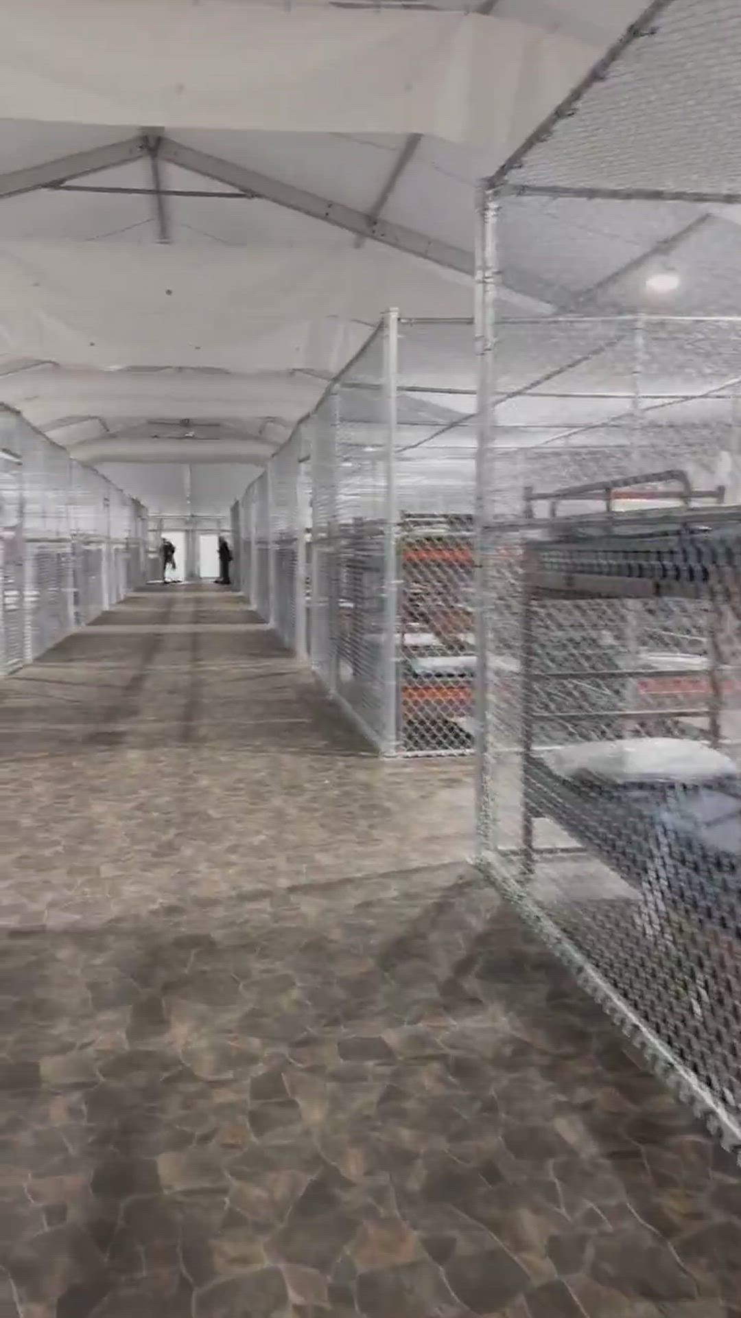 Así es 'Alligator Alcatraz', la cárcel para migrantes rodeada de ...