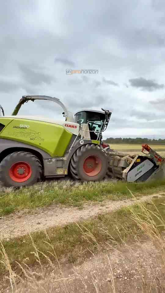 CLAAS 970 Forage Harvester in Action: Whole Crop Rye Harvest