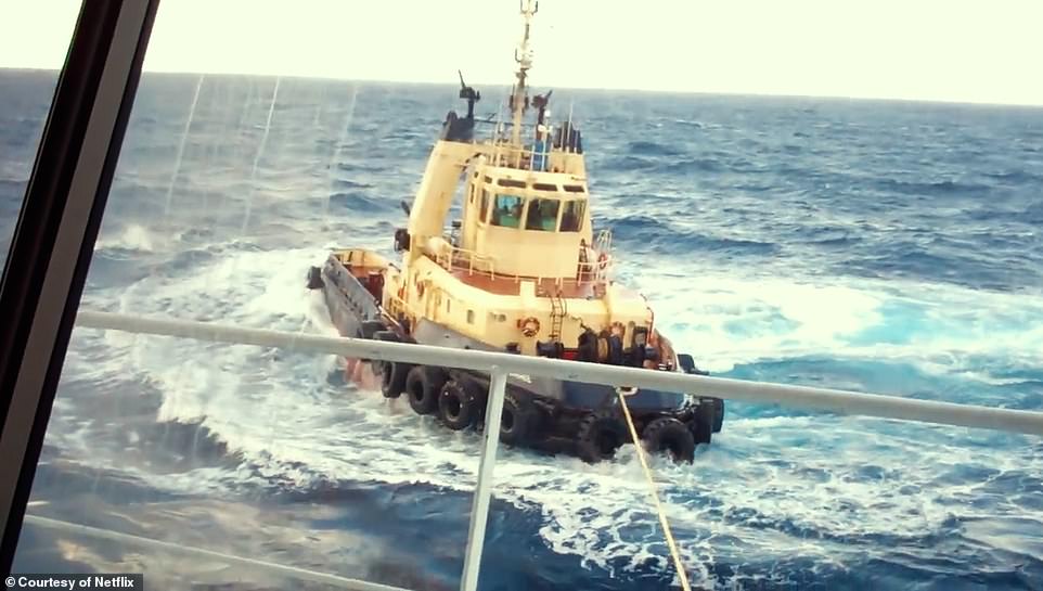 What would happen to Earth if humans went extinct?