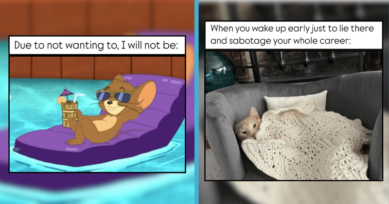 25 Work From Home Memes Showcasing the Highs and Lows of Women Working ...