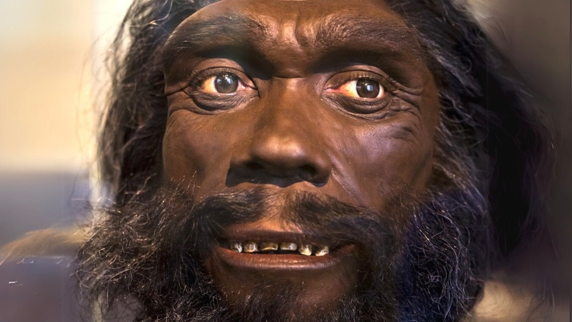 We Aren T The Only Human Species That Walked Earth