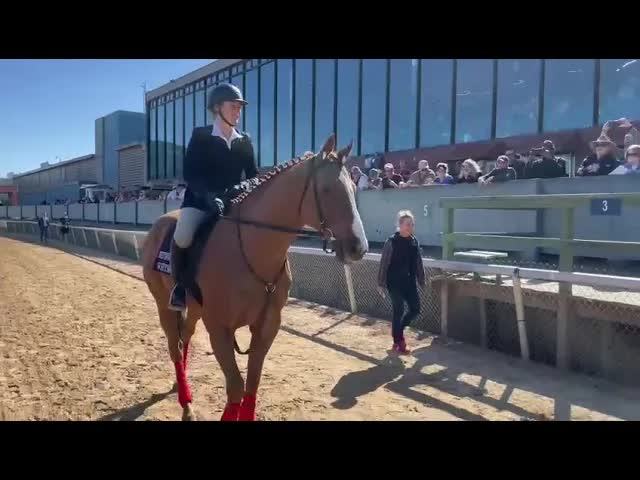 Whitmore - the Winningest Horse in Oaklawn Park History - Leads the ...