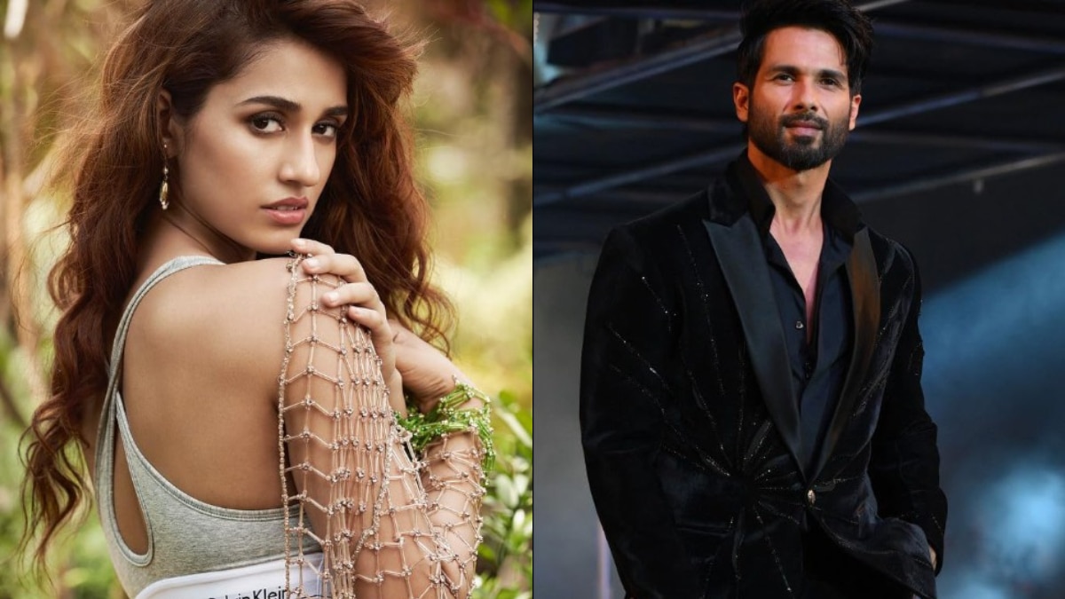 Shahid Kapoor To Share Dance Floor With Disha Patani In Vishal Bhardwaj ...