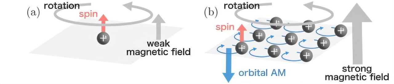 Strong magnetic fields flip angular momentum dynamics in ...
