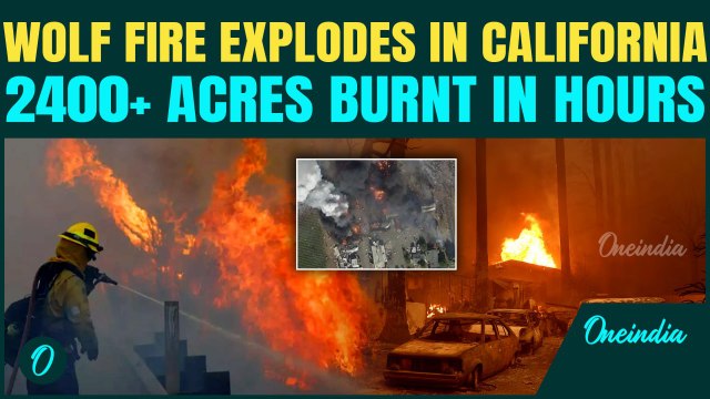 California BURNS Again: Wolf Fire RIPS Through 2,400 Acres — Start of ...
