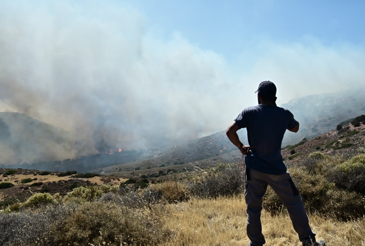 Συνελήφθη 55χρονος μελισσοκόμος για την πυρκαγιά στην Αλυκή Βοιωτίας