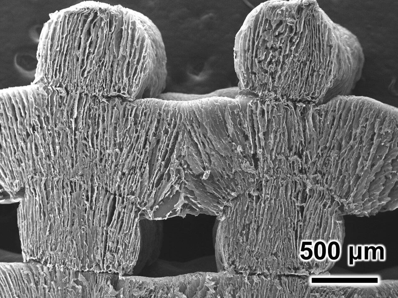 Spongy material and the sun's power remove salt from seawater