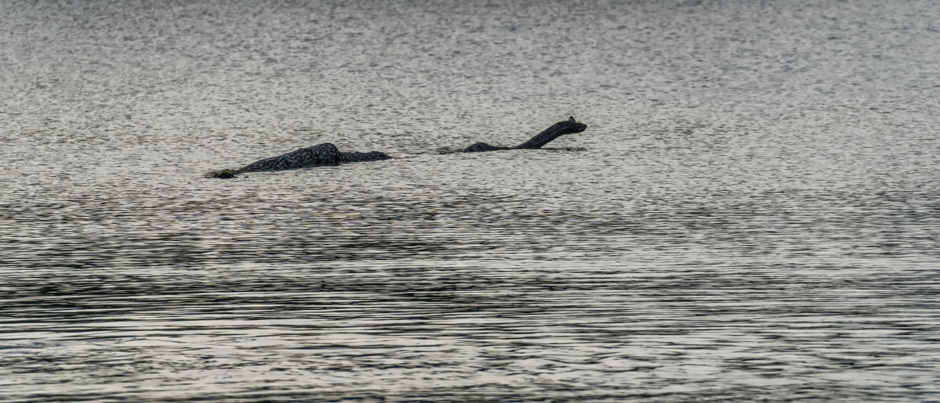 Is Nessie real? The Loch Ness Monster mystery