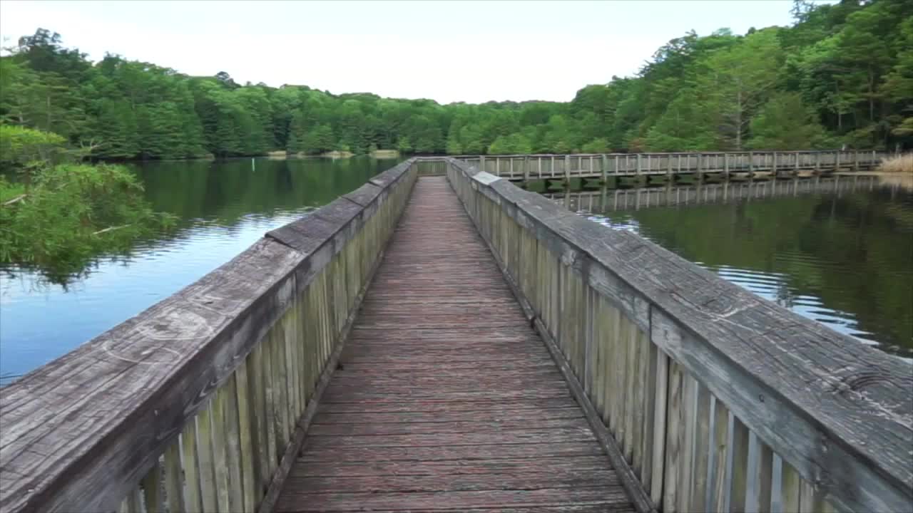 In Your Parish Headlines: Across Acadiana, July 2, 2025