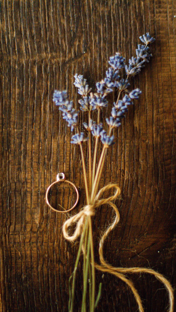 10 medicinal plants one can grow at home
