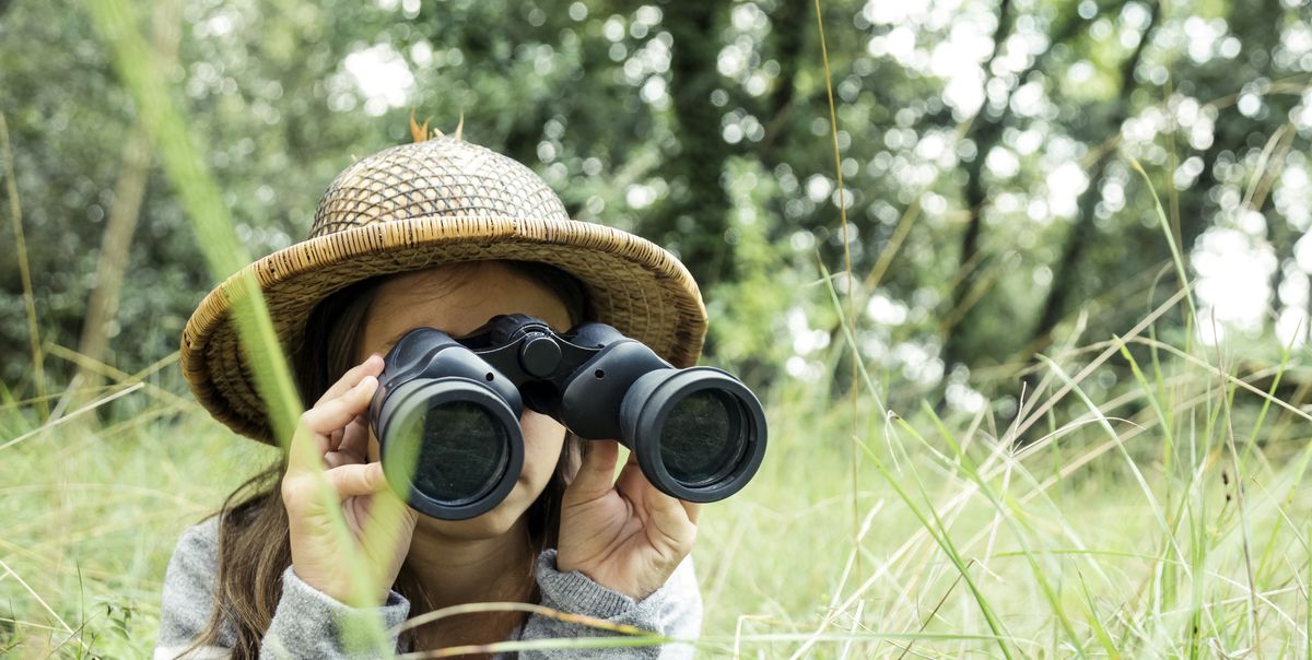 5 Bird-Watching Secrets of a Wildlife TV Show Host