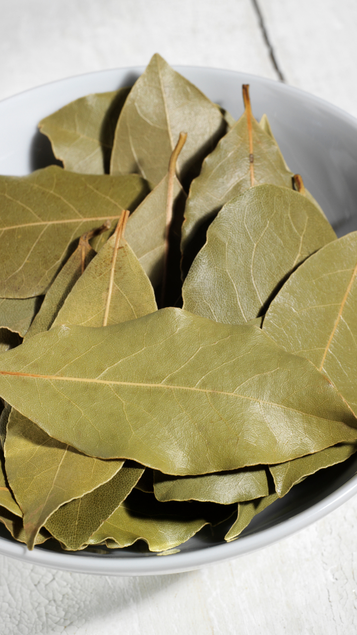 10 medicinal plants one can grow at home