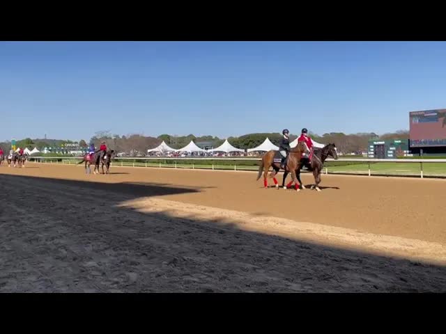 Whitmore Leads Parade Of Inaugural Whitmore Stakes At Oaklawn Racing ...