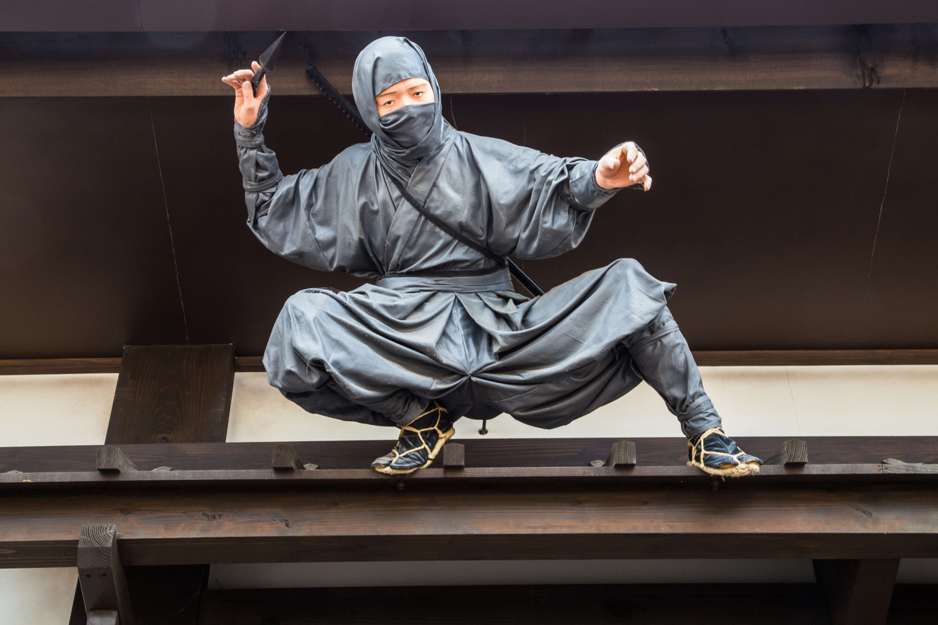 Exploring the mystique of Japanese ninjas