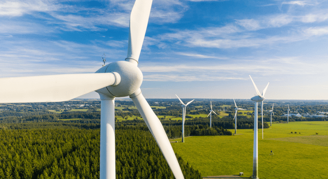 US Renewable Energy Shares Dip Following Trump’s New Fiscal Directive