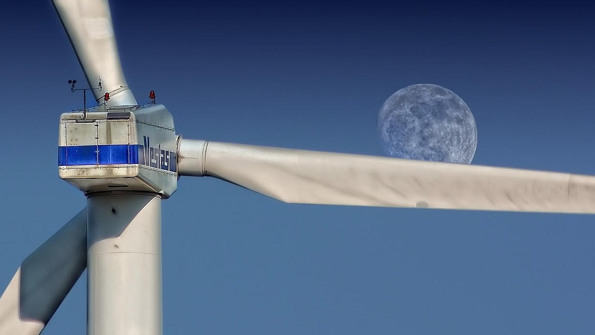 Wind Turbines: What Climate Advocates Aren’t Telling You