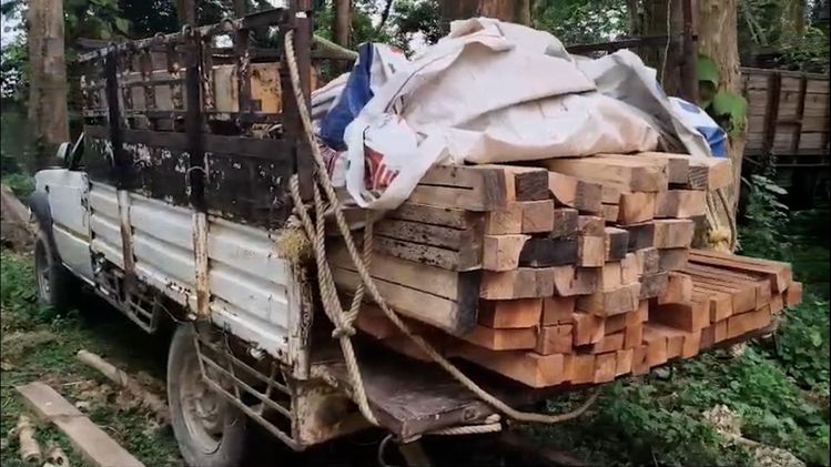 Assam: Timber smuggling busted in Kheroni; two vehicles seized