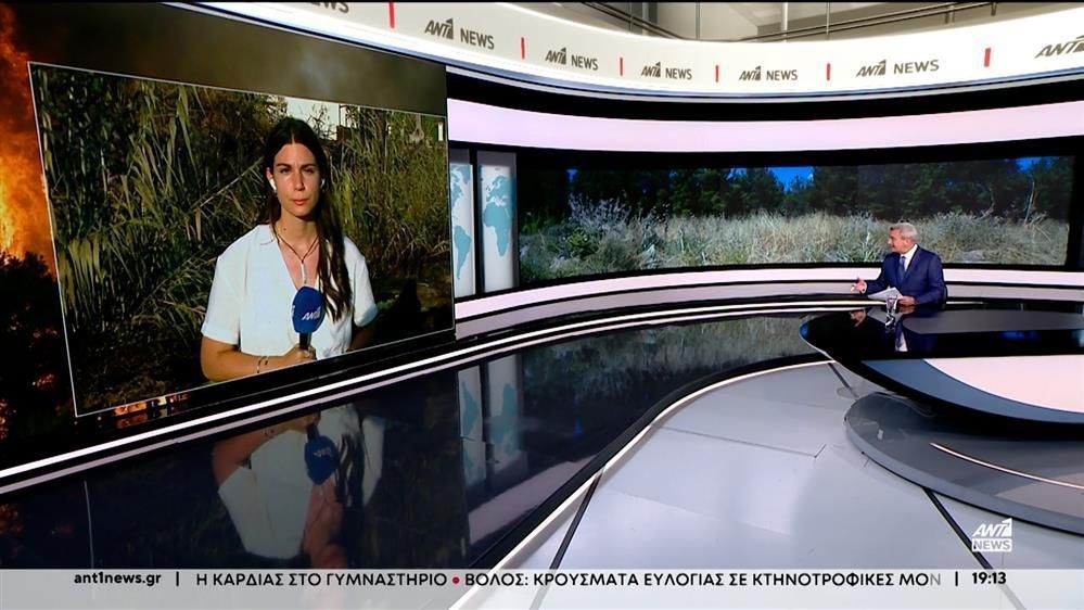 Φωτιά στον Μαραθώνα: Γεμάτη ακαθάριστα οικόπεδα η περιοχή