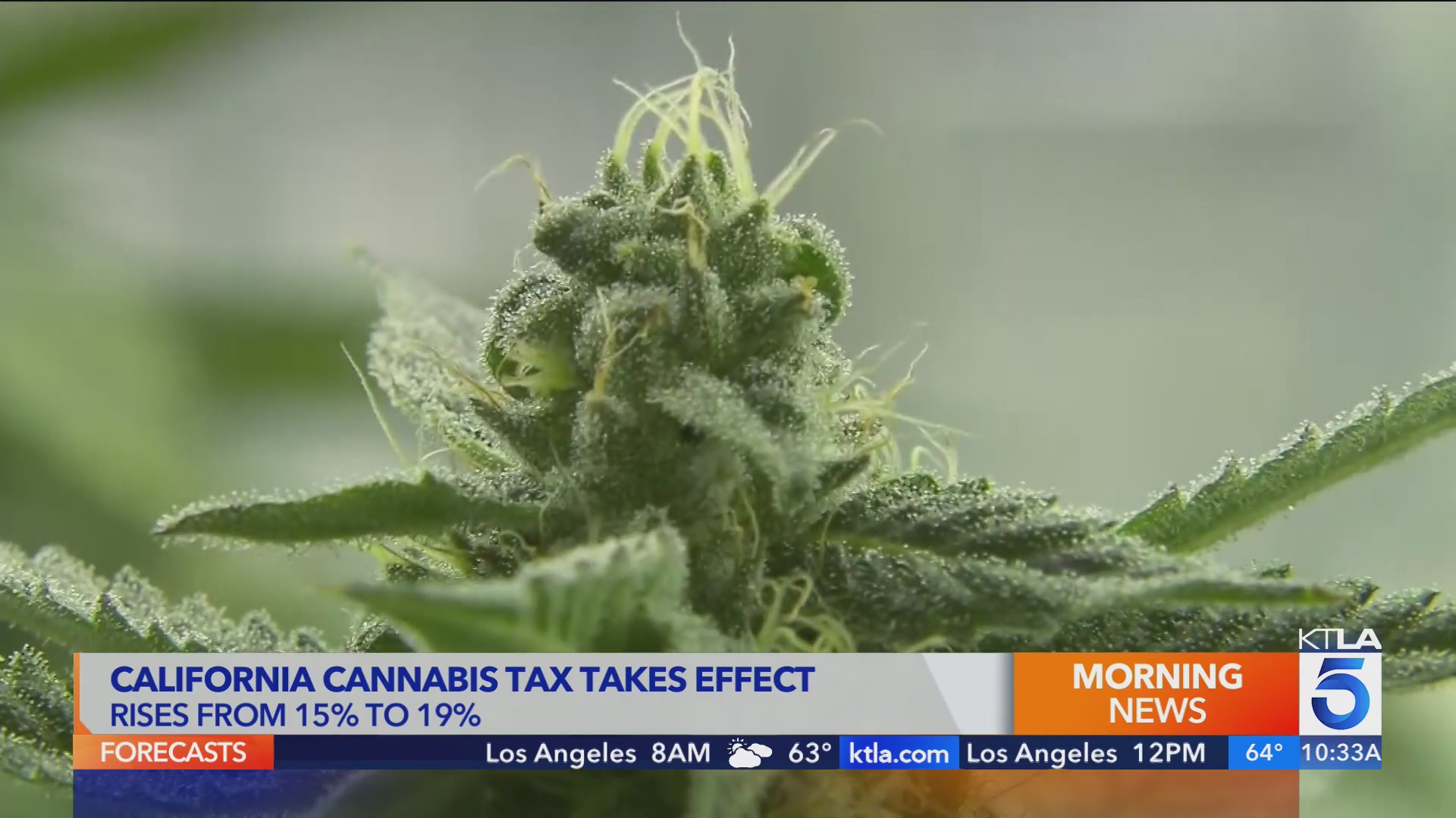 New cannabis tax increase is a high concern for California dispensaries