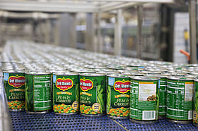Del Monte Foods files for bankruptcy, plans asset sale amid mounting debt