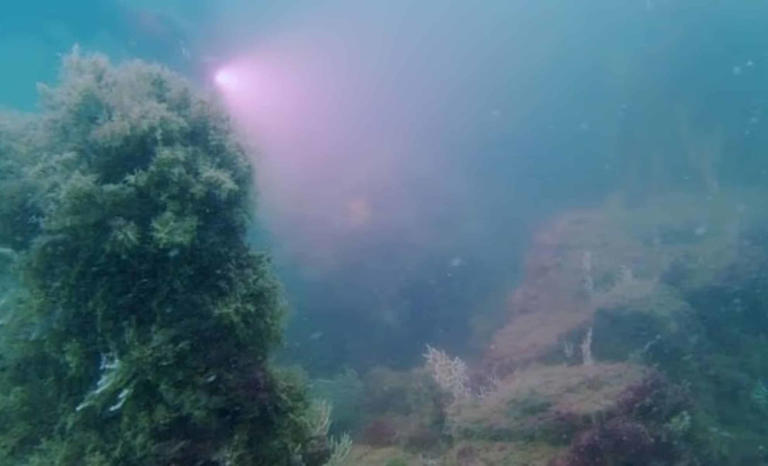 Archaeologist Claims to Have Found Atlantis Just off the Coast of Spain ...