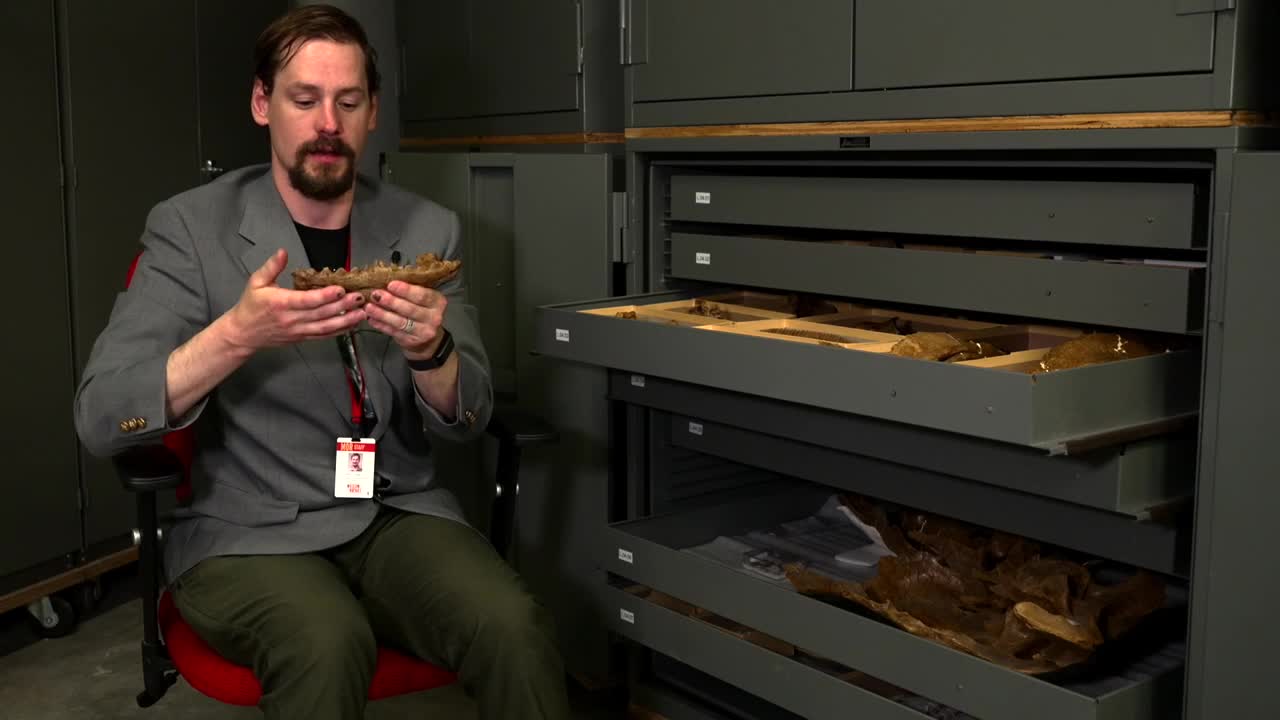 Montana: From 75M years ago to today