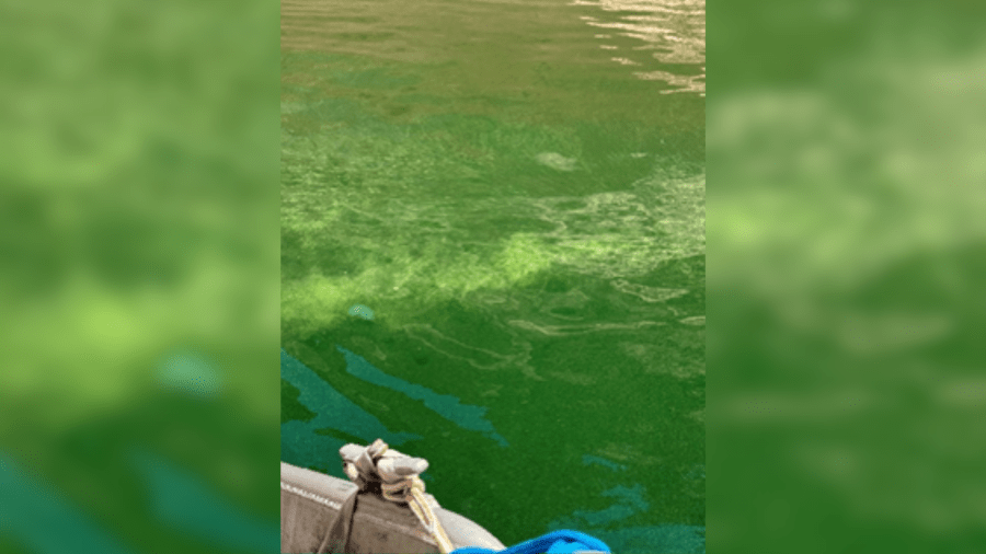 Advisory issued after harmful algae blooms found in Lake Powell