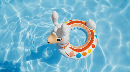 Floating the Bow this summer? Watch for these hazards as river rescues rise