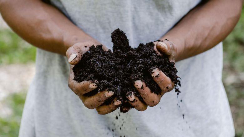 Achieve Healthy Garden Soil With The Help Of These Kitchen Ingredients
