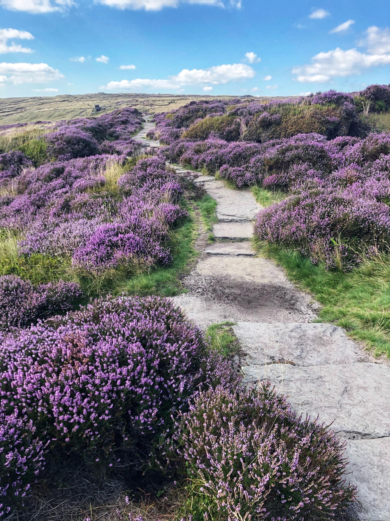 Could Britain’s Favourite Path be in the Midlands?