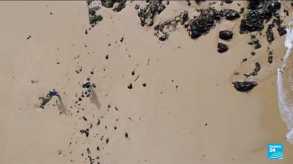 Brittany, France's heatwave refuge