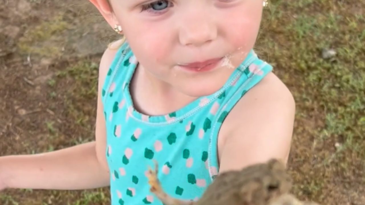 Little girl tries to separate two frogs while unknowingly disrupting ...