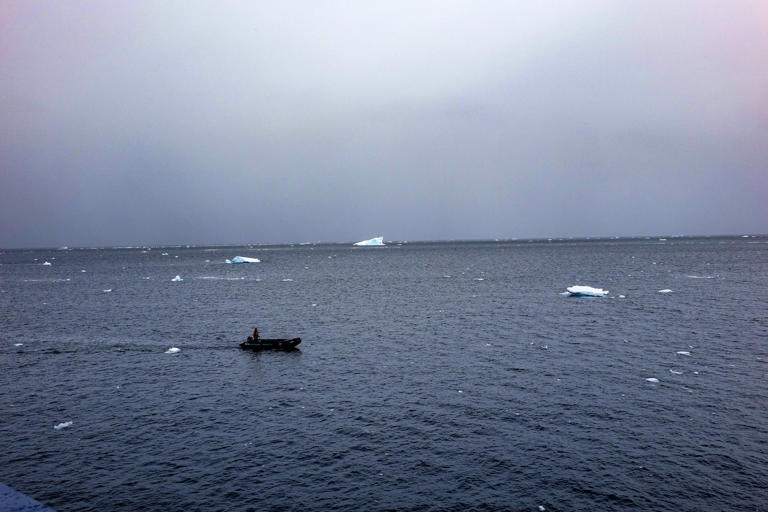 Scientists find a 'dangerous feedback loop' in sudden sea ice melt