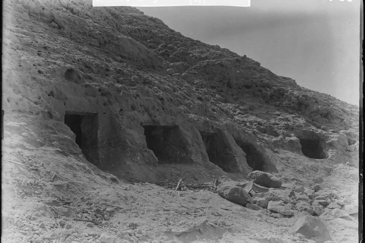 Secrets of ancient societies revealed through DNA from 4,000-year-old teeth