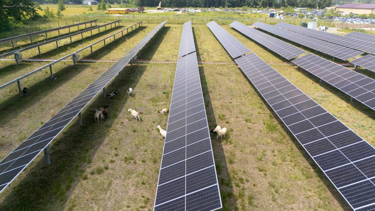 Illinois bet on solar to meet climate goals. Now Trump has it in his ...