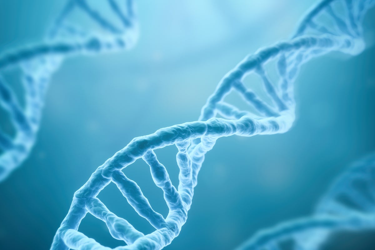 Centuries old teeth could hold secret to ancient societies