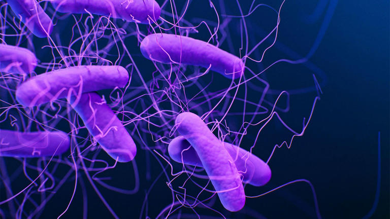 Preventive Vancomycin Shows Promise Against Recurrent C. Difficile