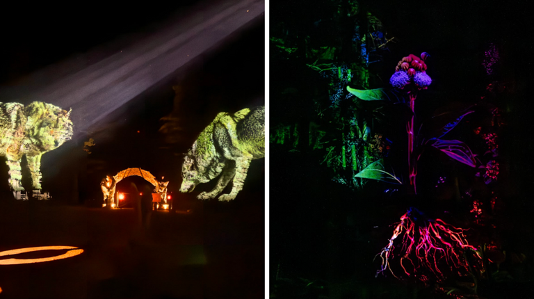 Le parc Oméga a ouvert un parcours illuminé à découvrir sous les ...