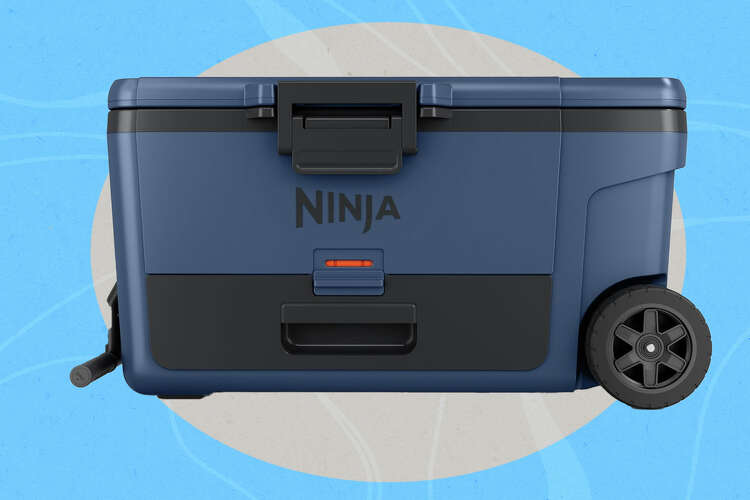 Ninja's Frost Vault Cooler is on sale for 25% off so you can keep your ...