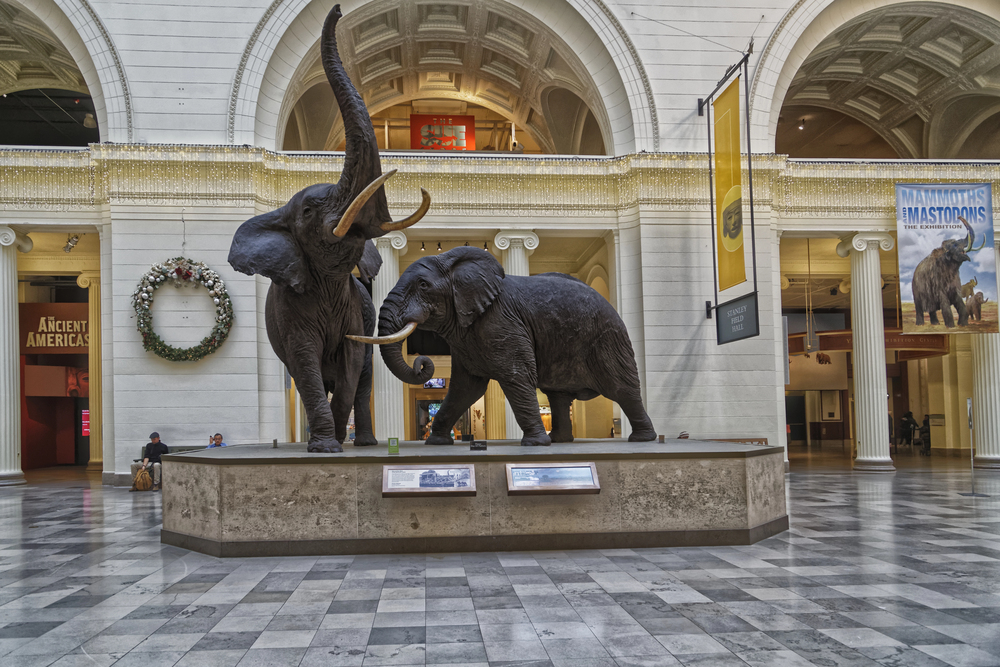 14 Cool Museums to Visit in Chicago, Illinois