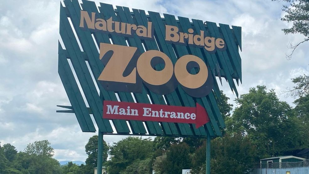 Natural Bridge Zoo's owners found guilty of contempt of court as legal ...