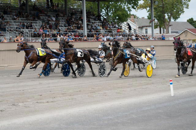 Harness racing - Heat cancels Friday card ahead of Goshen festival