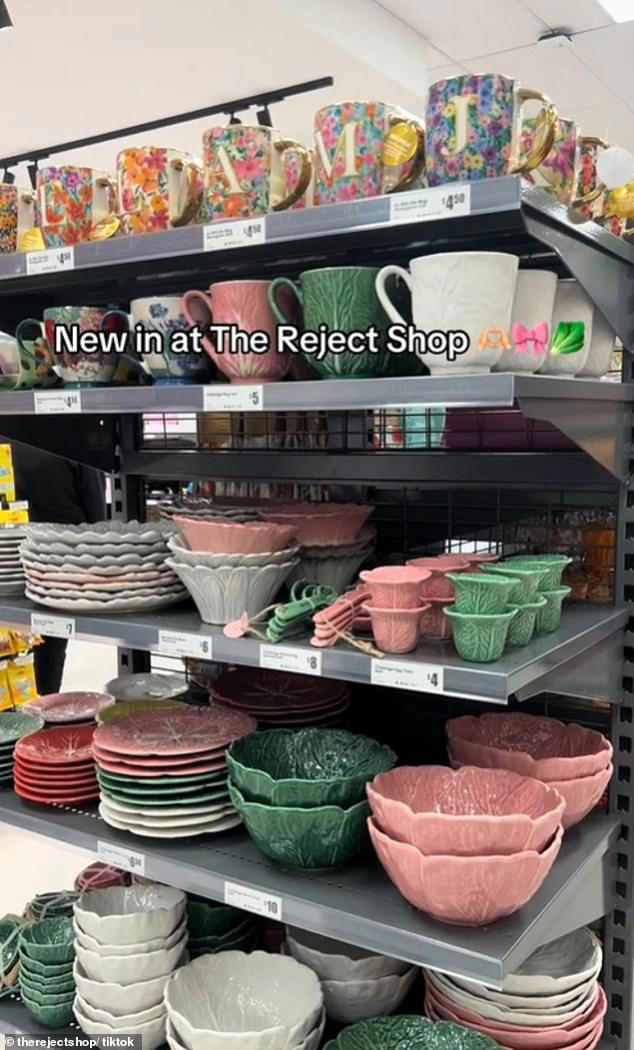 The Reject Shop sends fans wild over new home range - including a sell ...