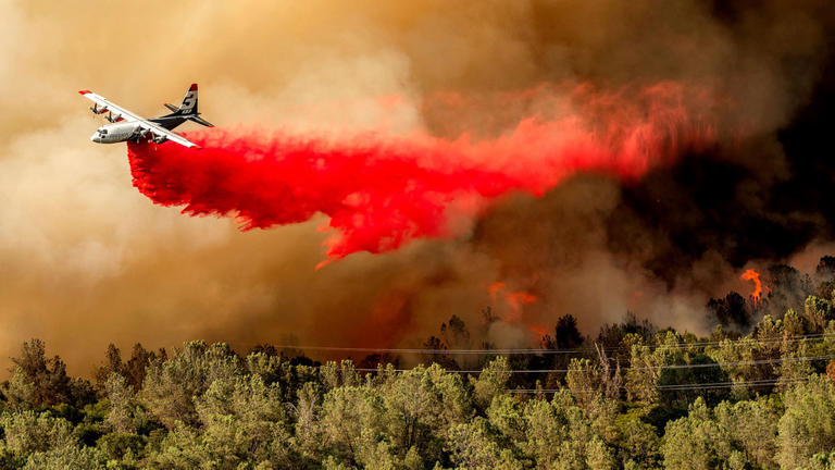 'If you fly, we can't': Cal Fire warns drone use stalls wildfire air ...